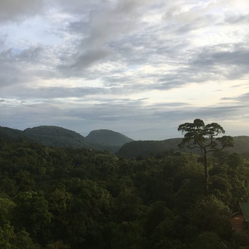 Bilog Bilog – Mind Of The Earth